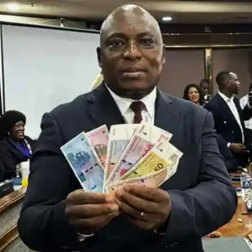 Zimbabwe’s new gold-backed currency: Can the ZiG restore confidence and ...