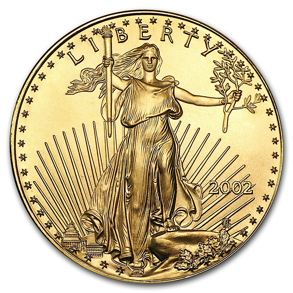 2002 1 oz American Gold Eagle Coin