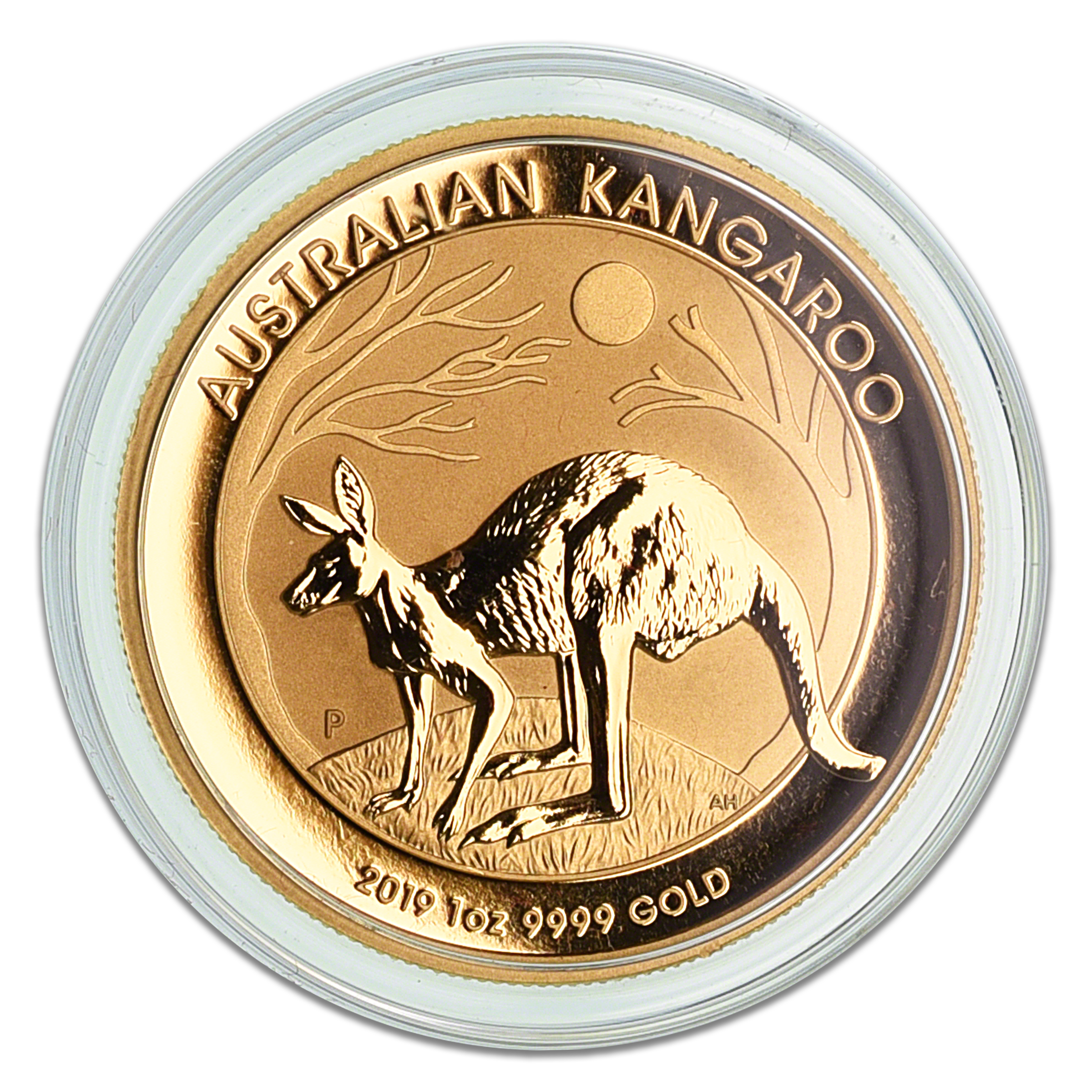 Buy Gold Kangaroo 2019 - 1 oz | Order Online | Buy, Store