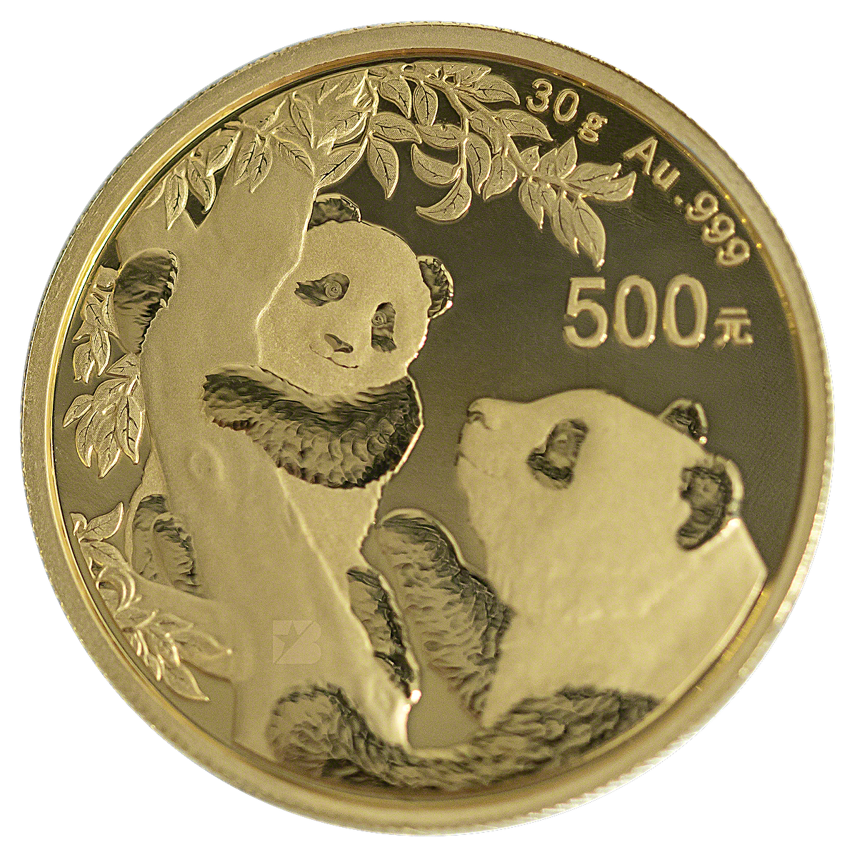 Chinese Gold Panda 2021 - 30 g - BullionStar Singapore