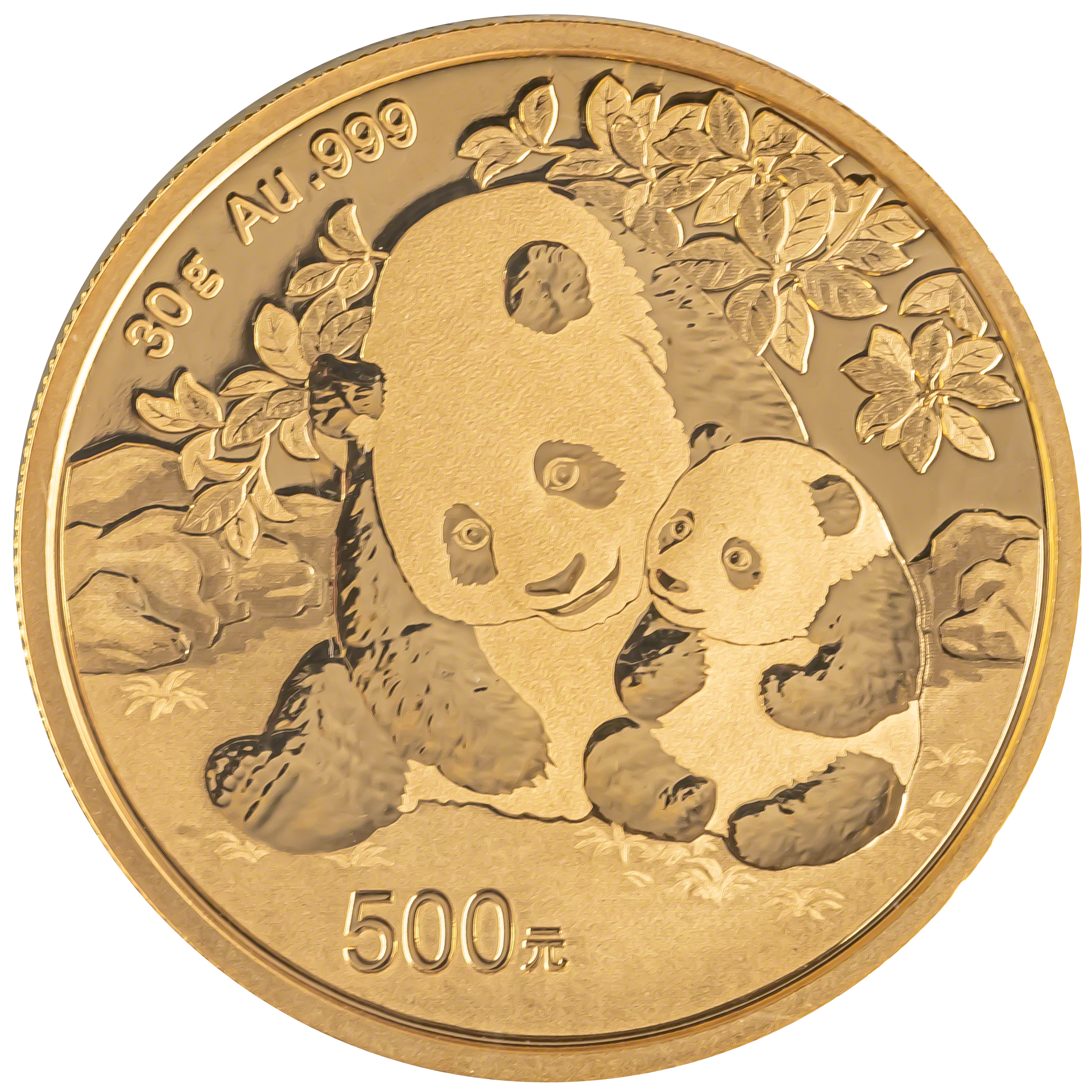 2017 30 Gram Chinese Gold Panda Bullion Coin - Graded MS 69 by NGC