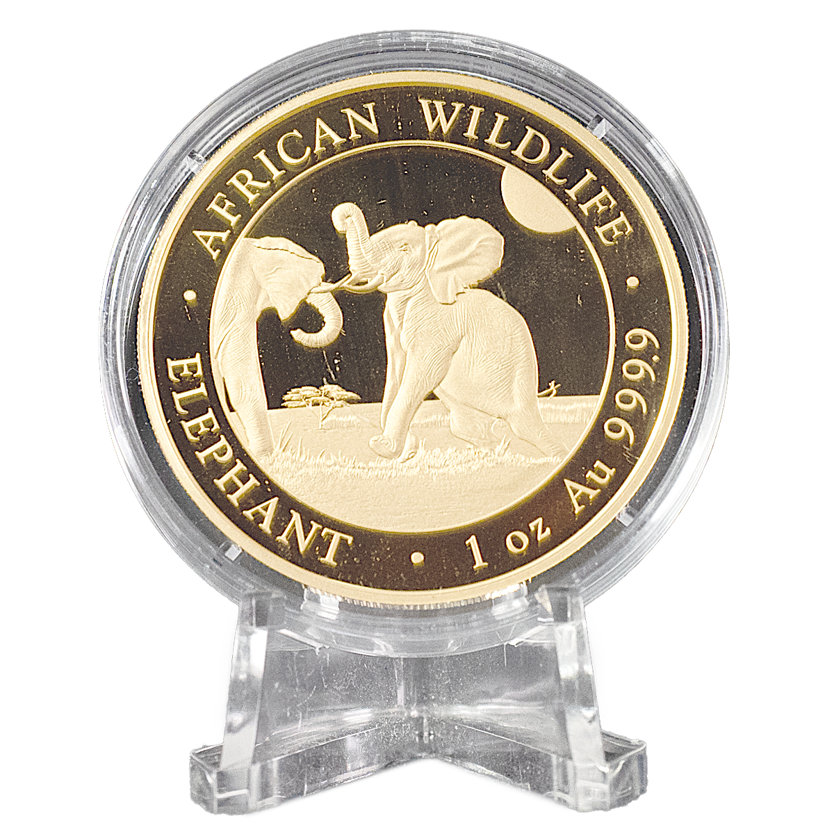 2024 1 oz Somalian Gold Elephant Coin