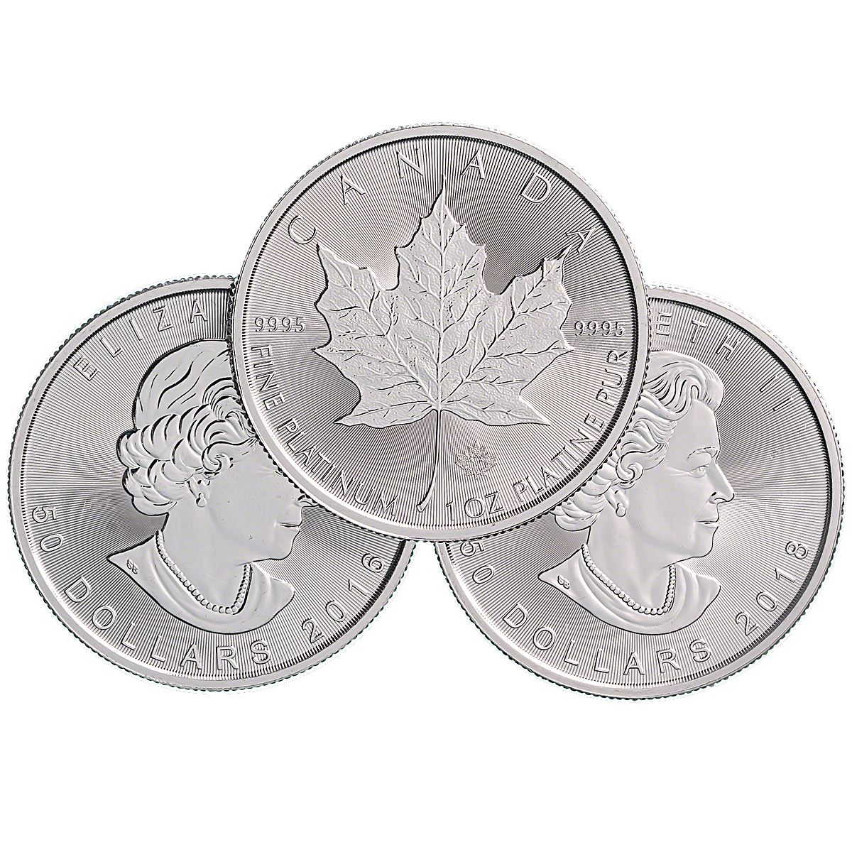 Canadian Platinum Maple Leaf - Various Years - 1 oz | Ottawa