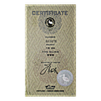 Solar Silver Bar - 10 oz | Taiwanese silver refined bars