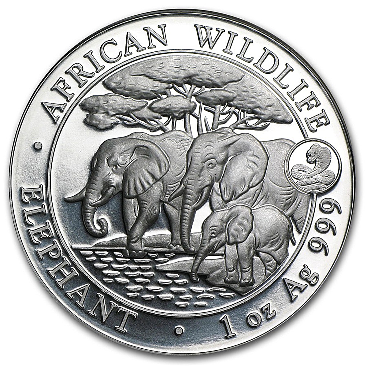 Somalia 2013 Silver Elephant - Snake Privy - 1 oz