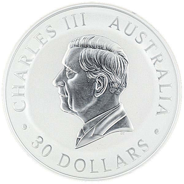 Buy 2025 1 Kilogram Australian Silver Koala Bullion Coin